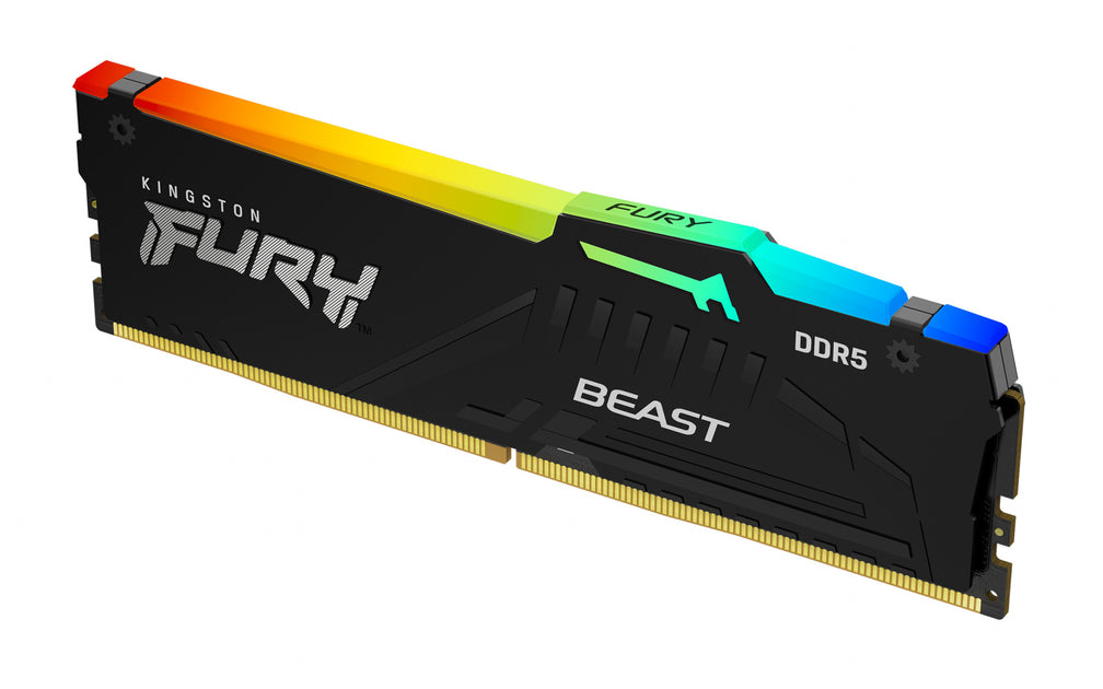 Kingston Technology FURY Beast 32GB 6000MT/s DDR5 CL36 DIMM RGB | Back ...